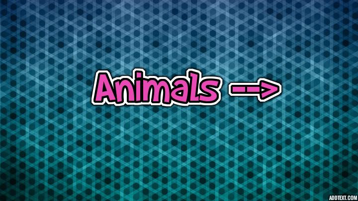 AddText — Captions for your photos, quick and easy